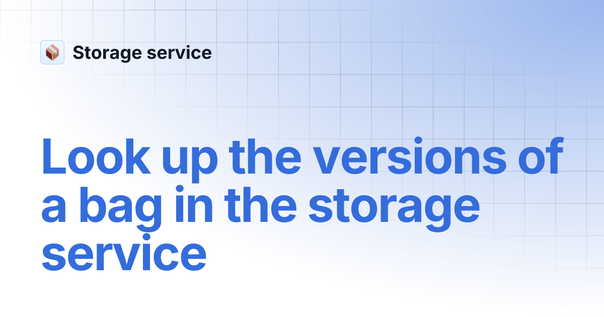 Look up the versions of a bag in the storage service | Storage service